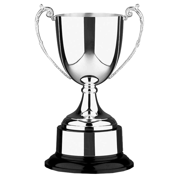 Swatkins Silverware Champion Trophy Cup 300mm 372E | Master Engraving