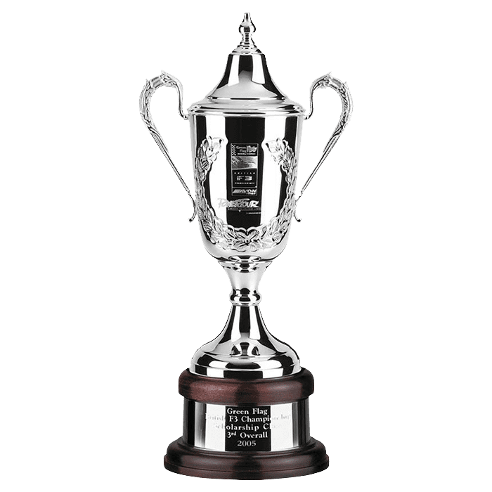 Swatkins Silverware Champion Trophy Cup 550mm L590 | Master Engraving